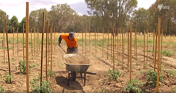 Bhutanese refugee community thrives in regional Australia – Parklands ...