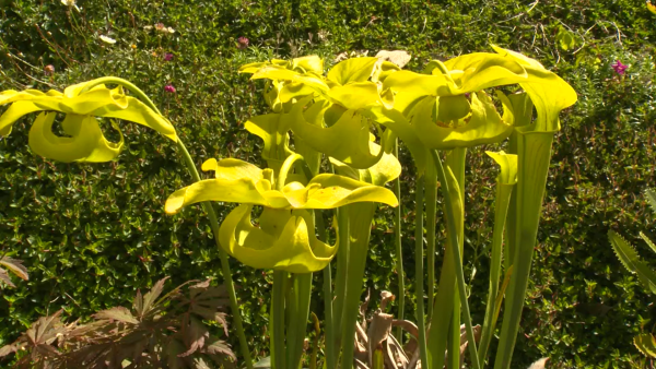 Hume and Hovell Track Stories – Doctors Point Community – Parklands ...