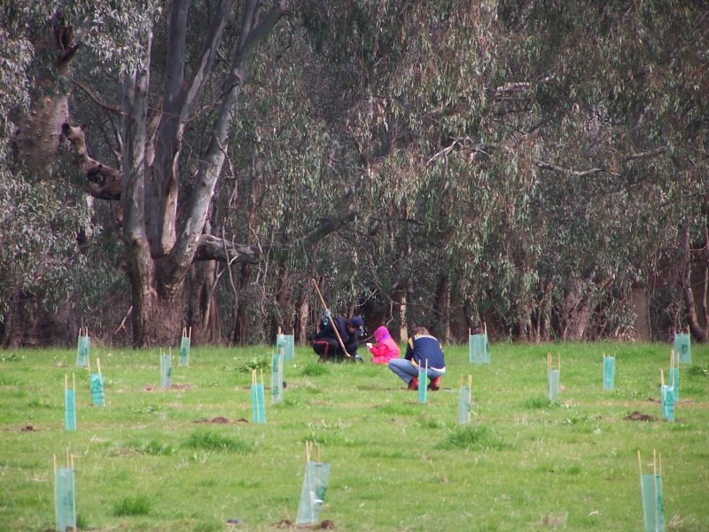 Growing Green Offsets – Parklands Albury Wodonga