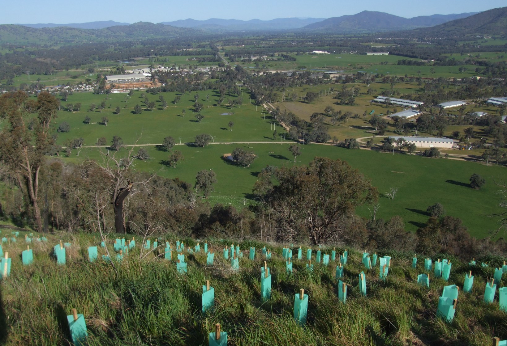 Offset Plantings – Parklands Albury Wodonga