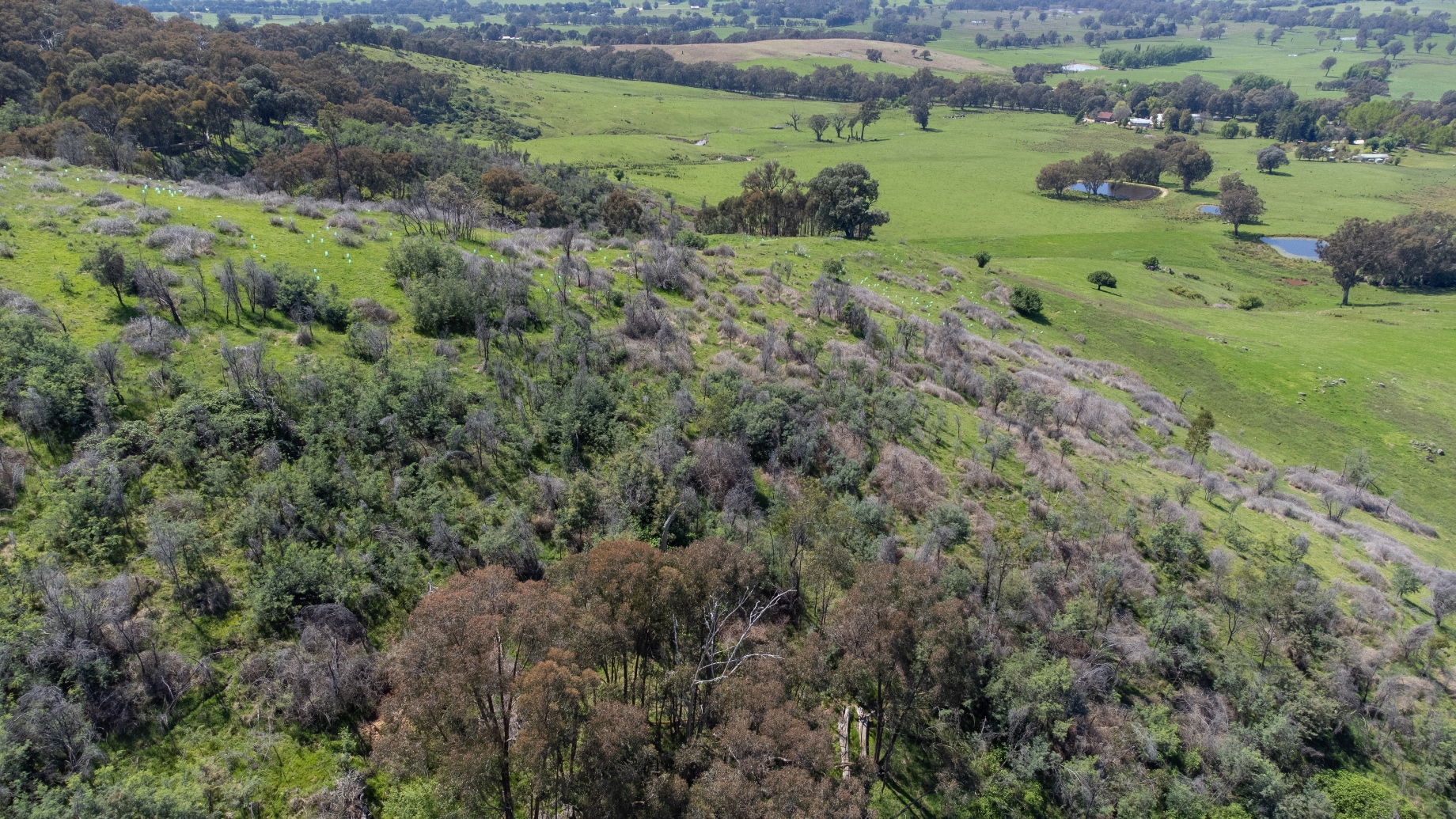 All is revealed with a bird’s eye view – Parklands Albury Wodonga