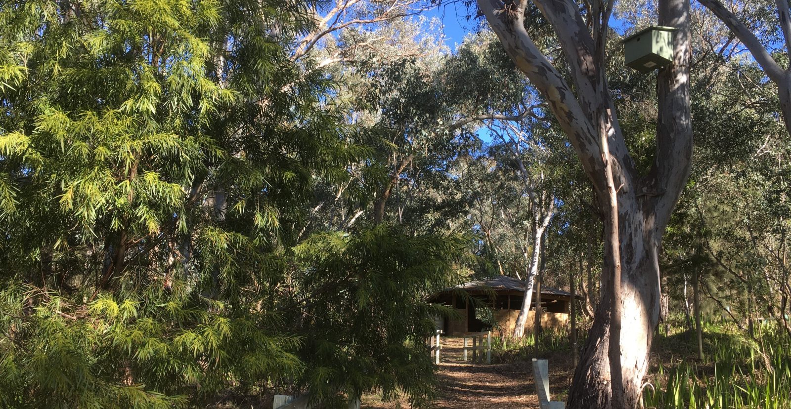 Leneva Enviro Hub Community working bee – Parklands Albury Wodonga