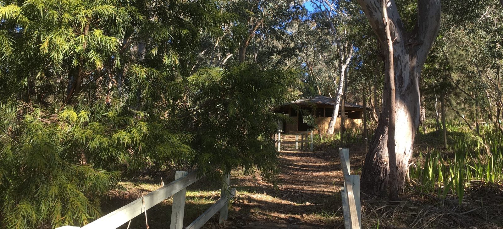 Leneva Enviro Hub Community working bee – Parklands Albury Wodonga