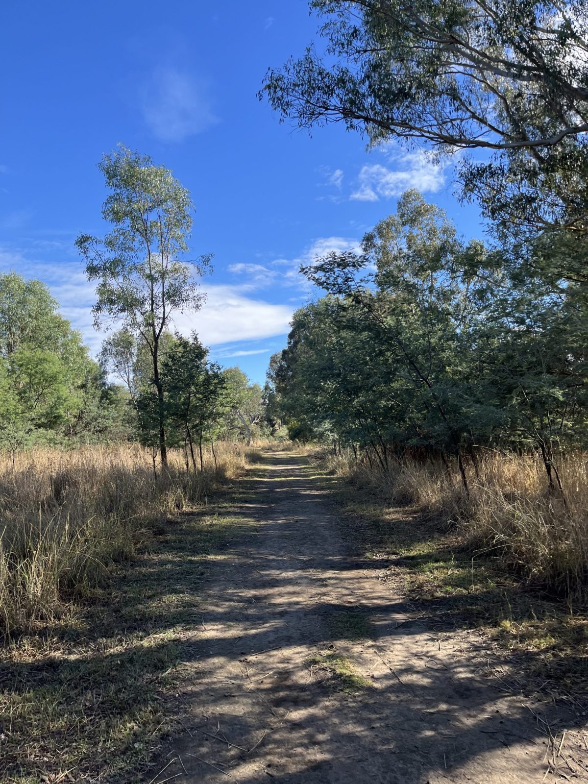 Focus on Trails – Kiewa River – Parklands Albury Wodonga